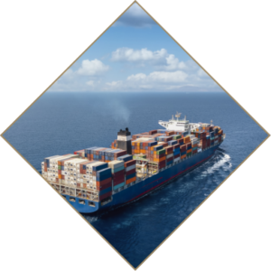 Home - Export Packers